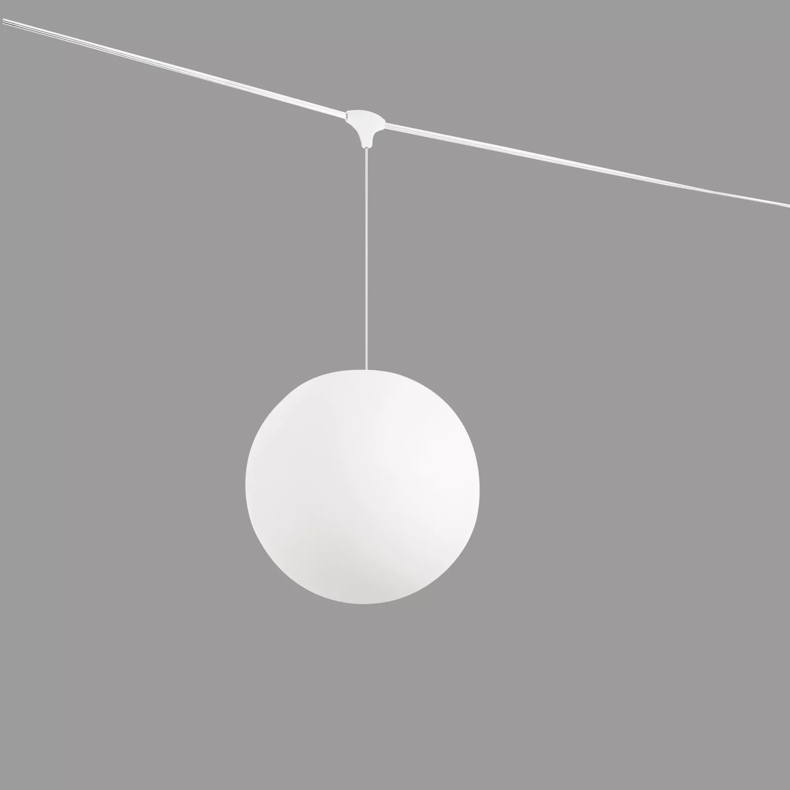 Oh!-C2 | Indoor | Catenary and Systems | Linea Light